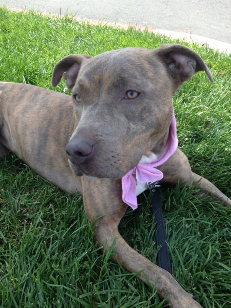 SNOOKIE - Villalobos Rescue Center