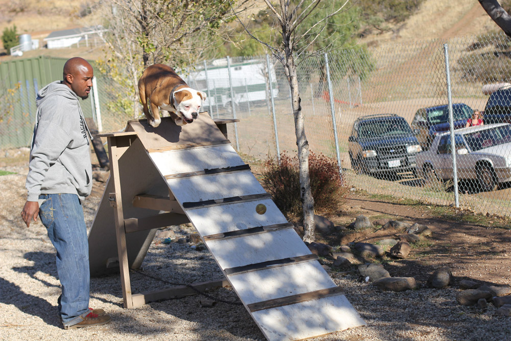 buffy10 - Villalobos Rescue Center