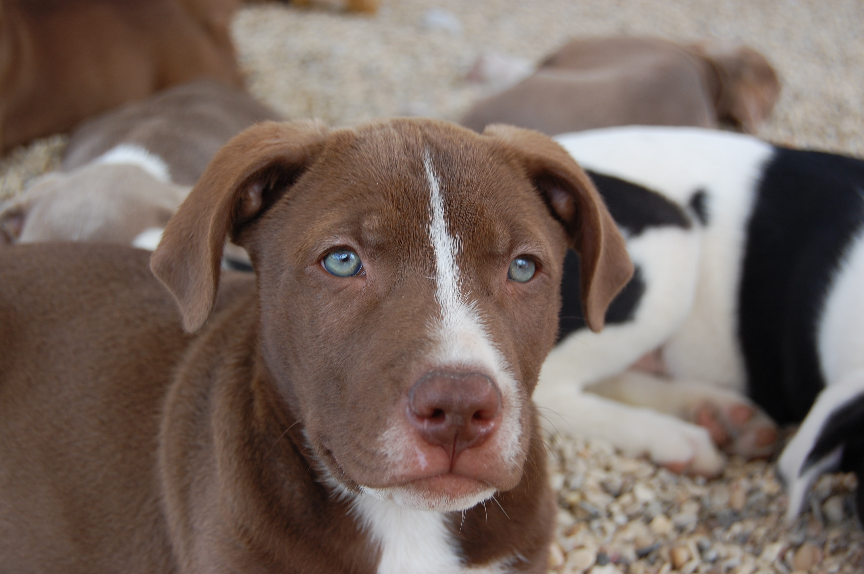 DSC_0410 - Villalobos Rescue Center