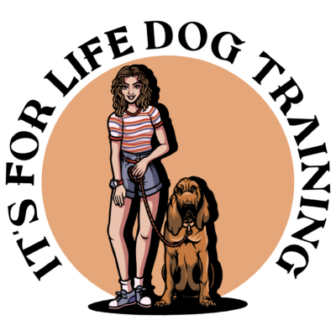 Home - Villalobos Rescue Center