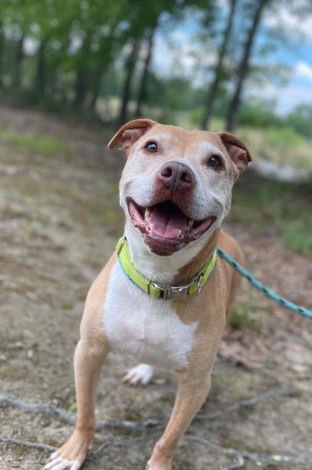 DEREK - Villalobos Rescue Center