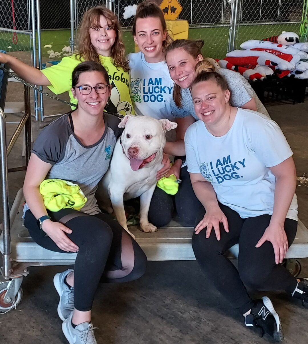 TOUR INFORMATION - Villalobos Rescue Center