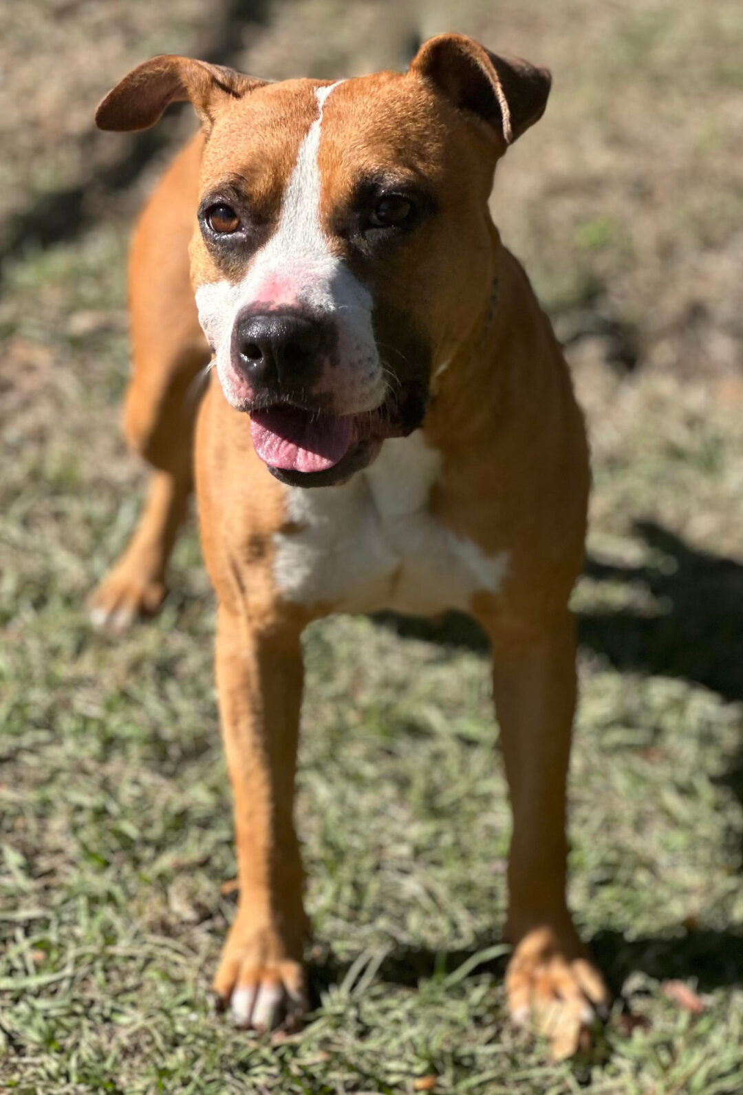 AQUA - Villalobos Rescue Center